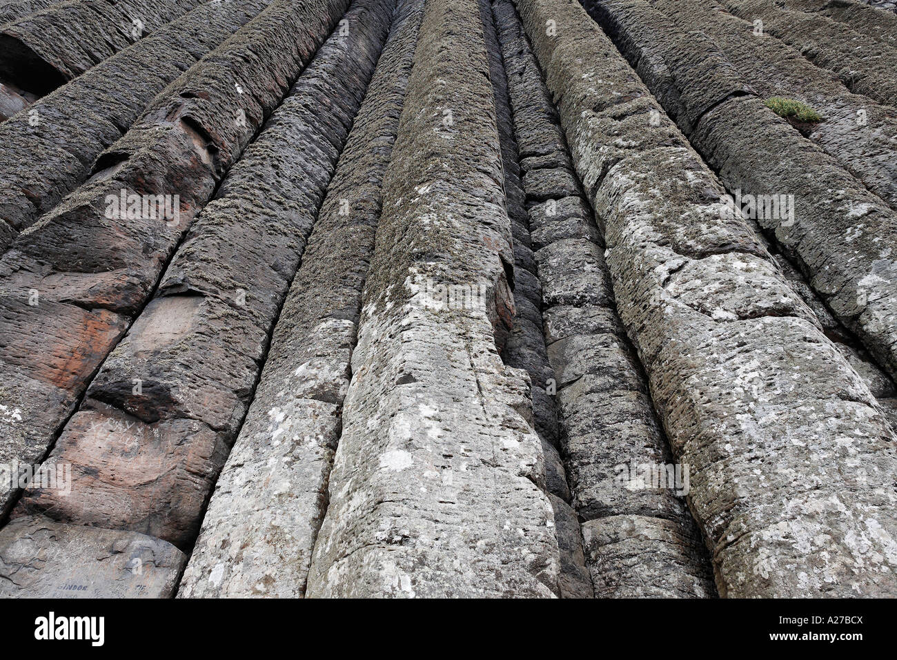 Basalt columns at the cliffs by the Giant´s Causeway, Londonderry ...