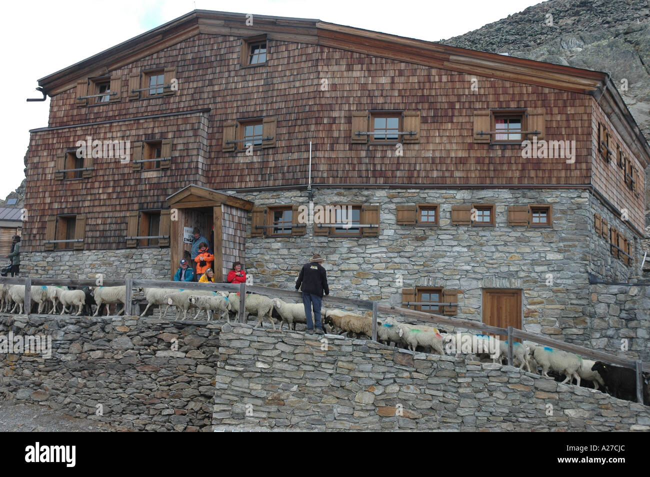 Sheepflock walks from Austrias Oetztal via Similaun mountain hut into ...