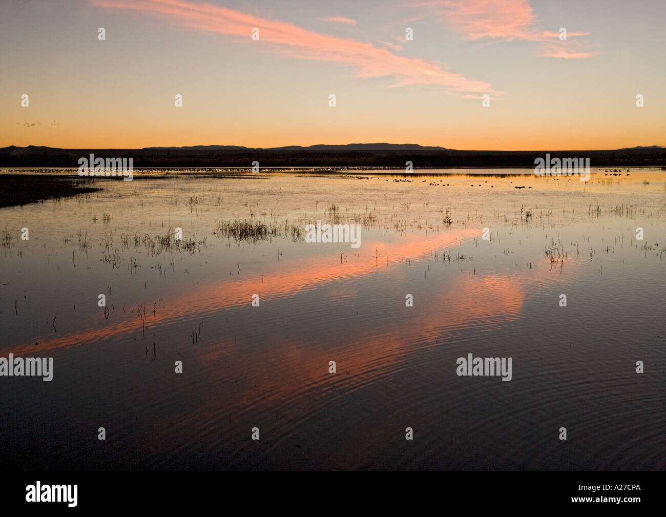 Rio grande in the albuquerque basin hi-res stock photography and images ...