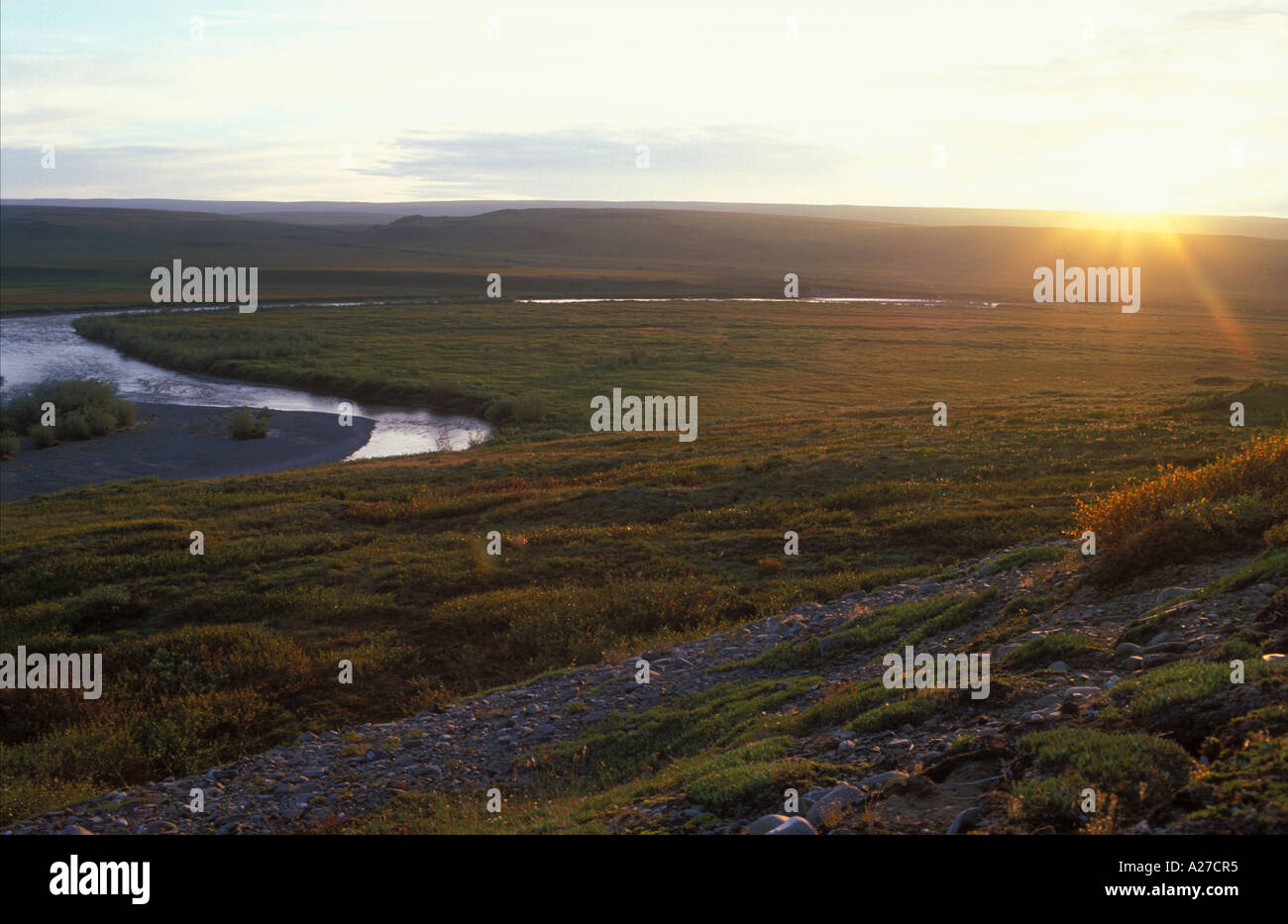 Arctic tundra Killik river sunset National Petroleum preserve North ...