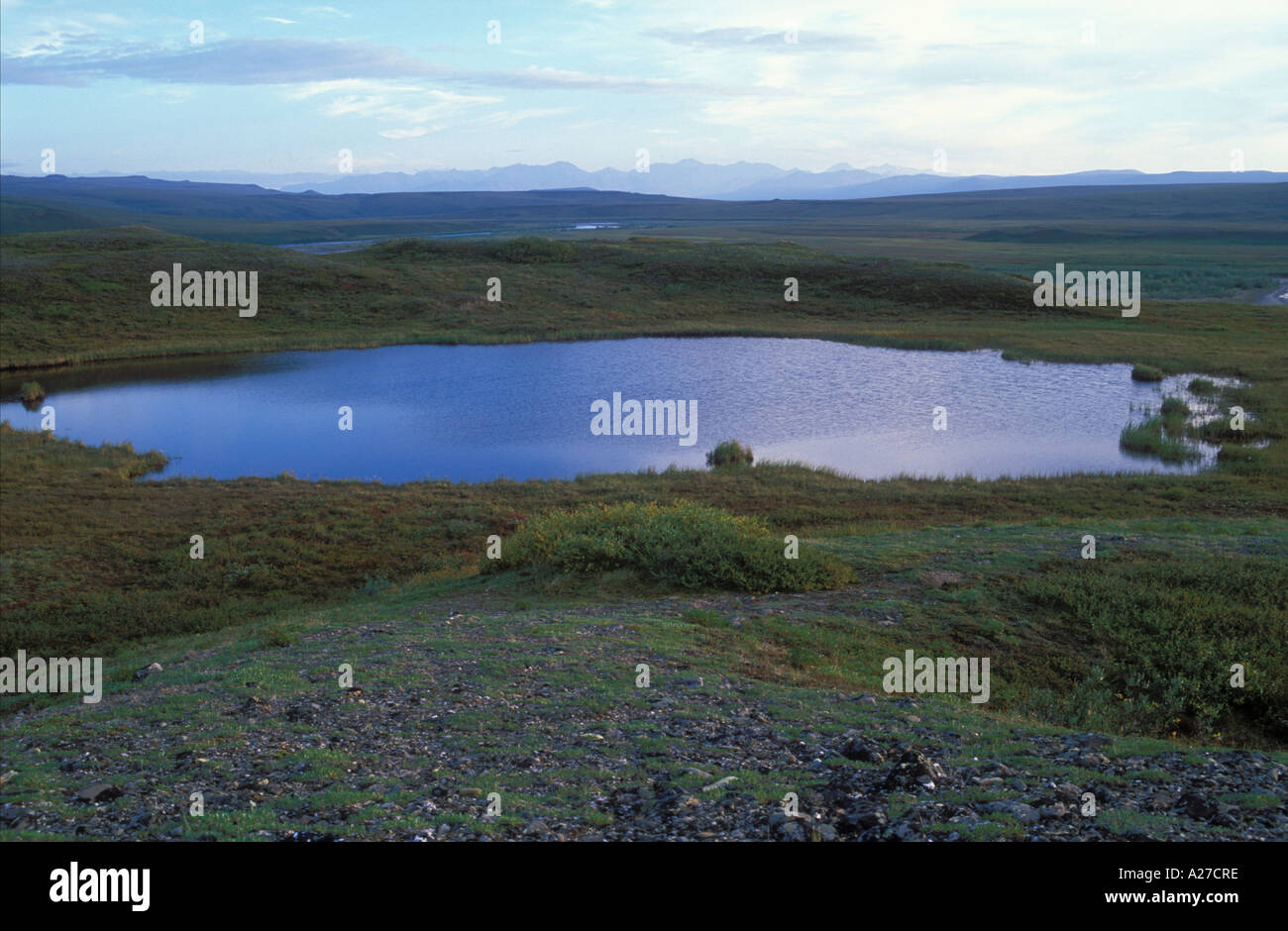 Pond in arctic tundra along Killik river with Brooks Range in back ...