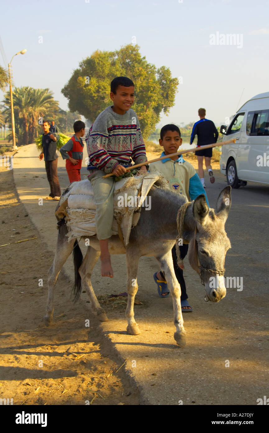 Egyptian riding donkey hi-res stock photography and images - Alamy