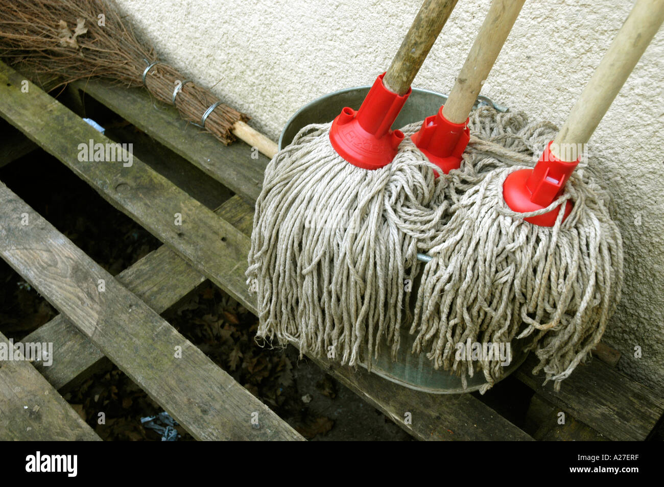 Three mops in a bucket Stock Photo - Alamy