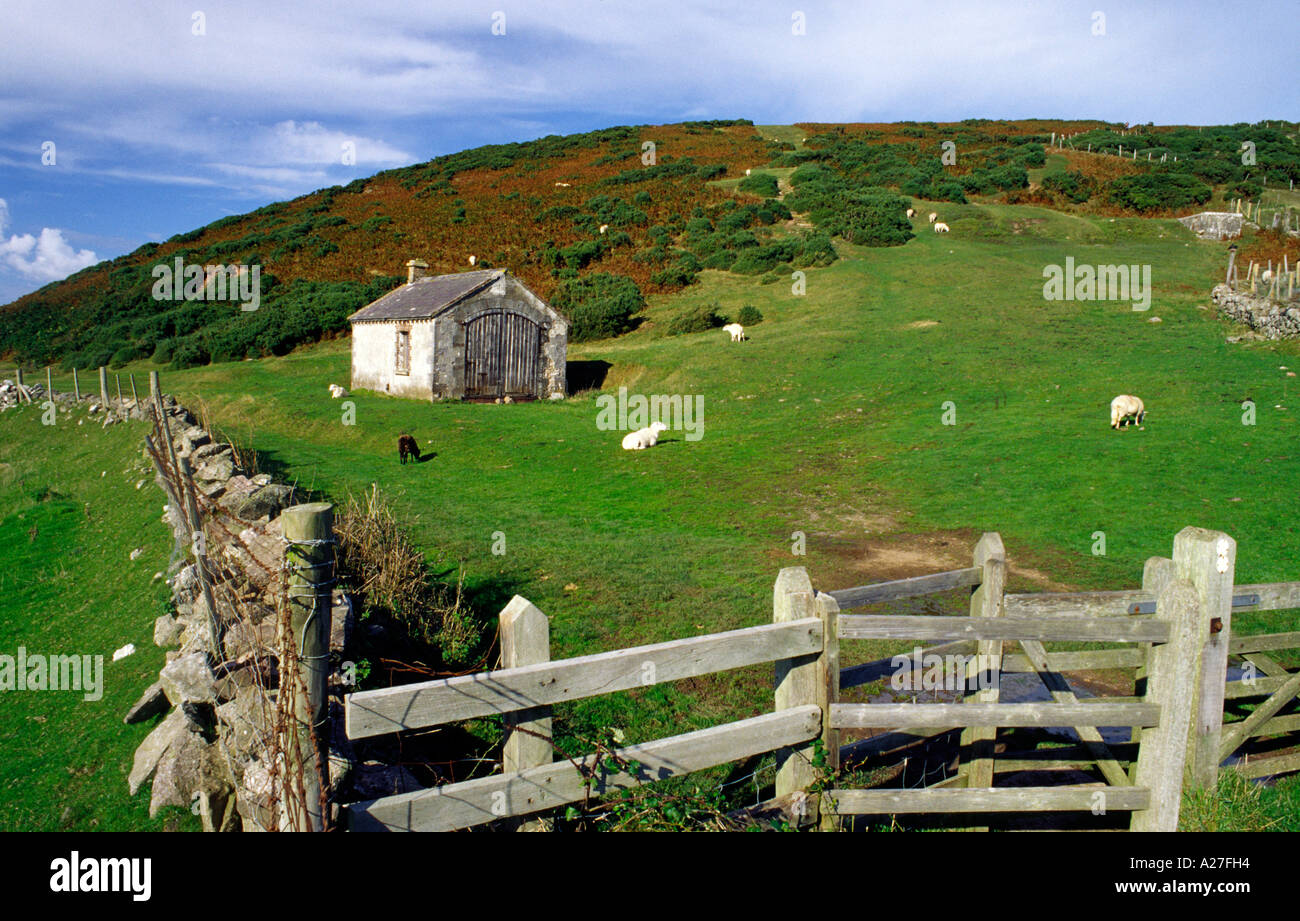 Scenery on the Gower Peninsula near Rhossili beach in South Wales Stock ...