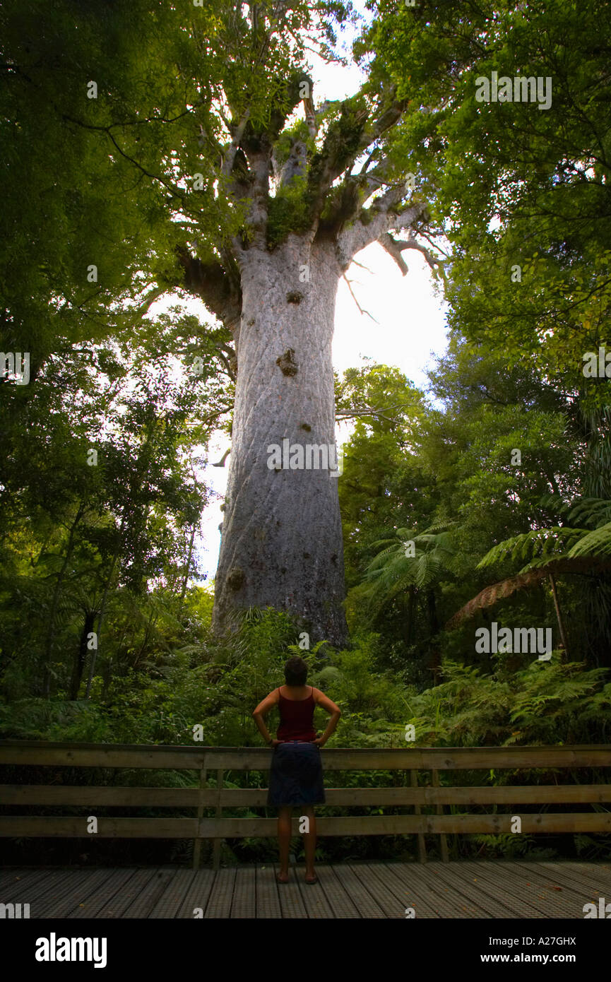 Young Woman With Arms On Hips Tane Mahuta New Zealand s Largest Kauri ...