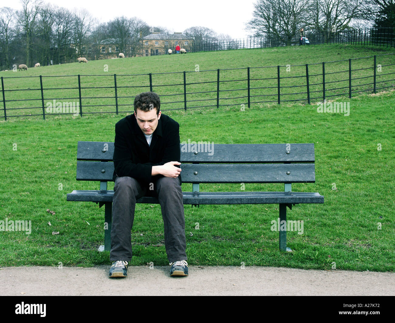 Man on park bench Stock Photo - Alamy