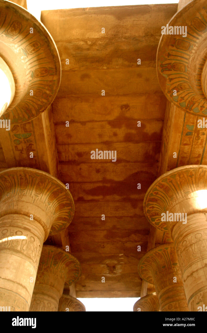 Lotus column at temple of luxor hi-res stock photography and images - Alamy