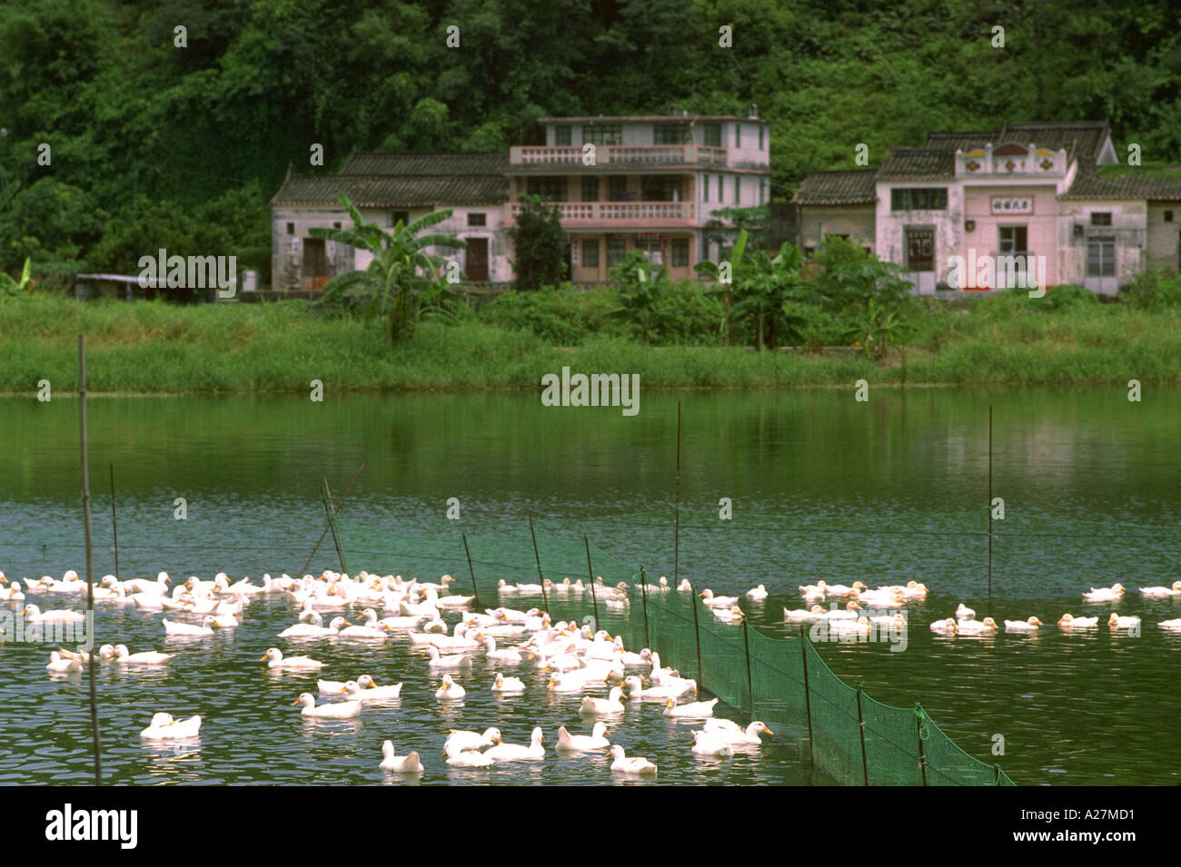 Territorities hi-res stock photography and images - Alamy