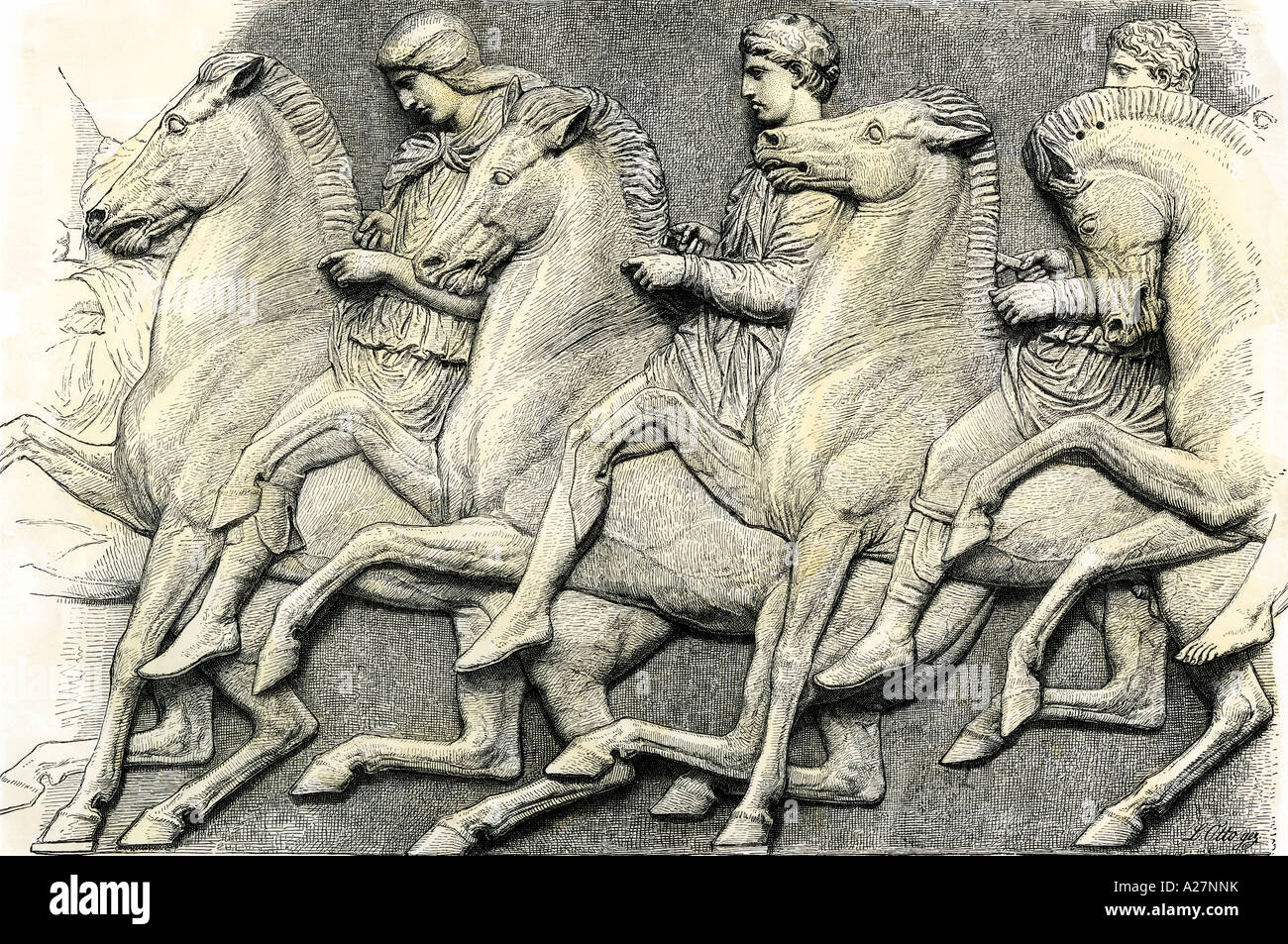 Athenian horsemen from the frieze of the Parthenon. Hand-colored ...