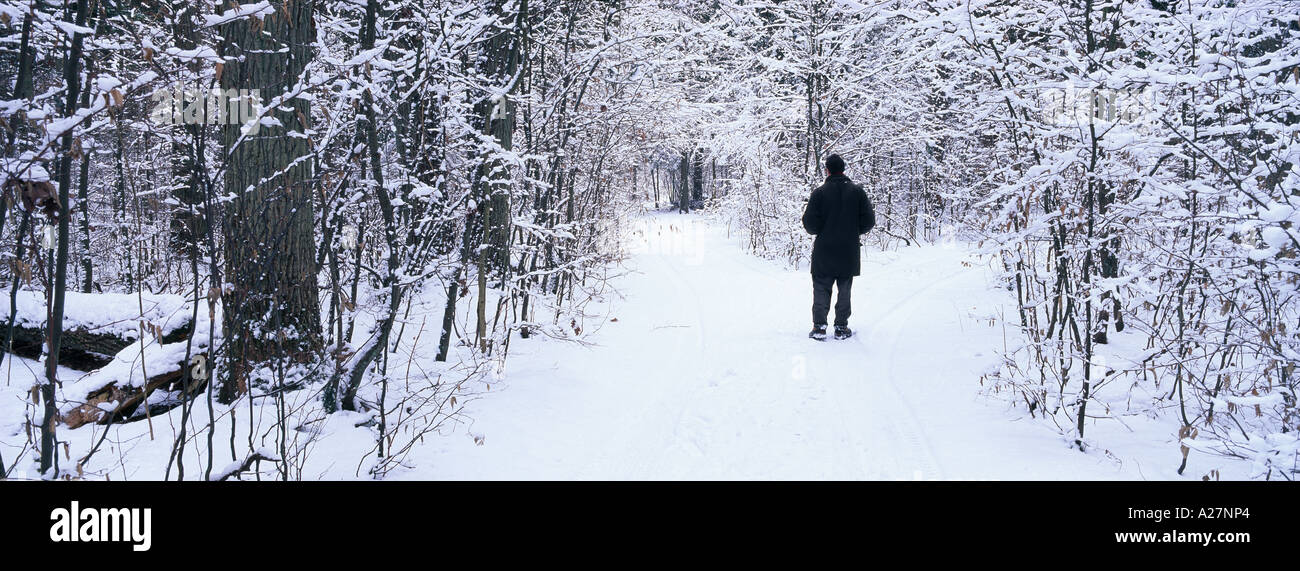 TWO ROADS FOREST Stock Photo - Alamy