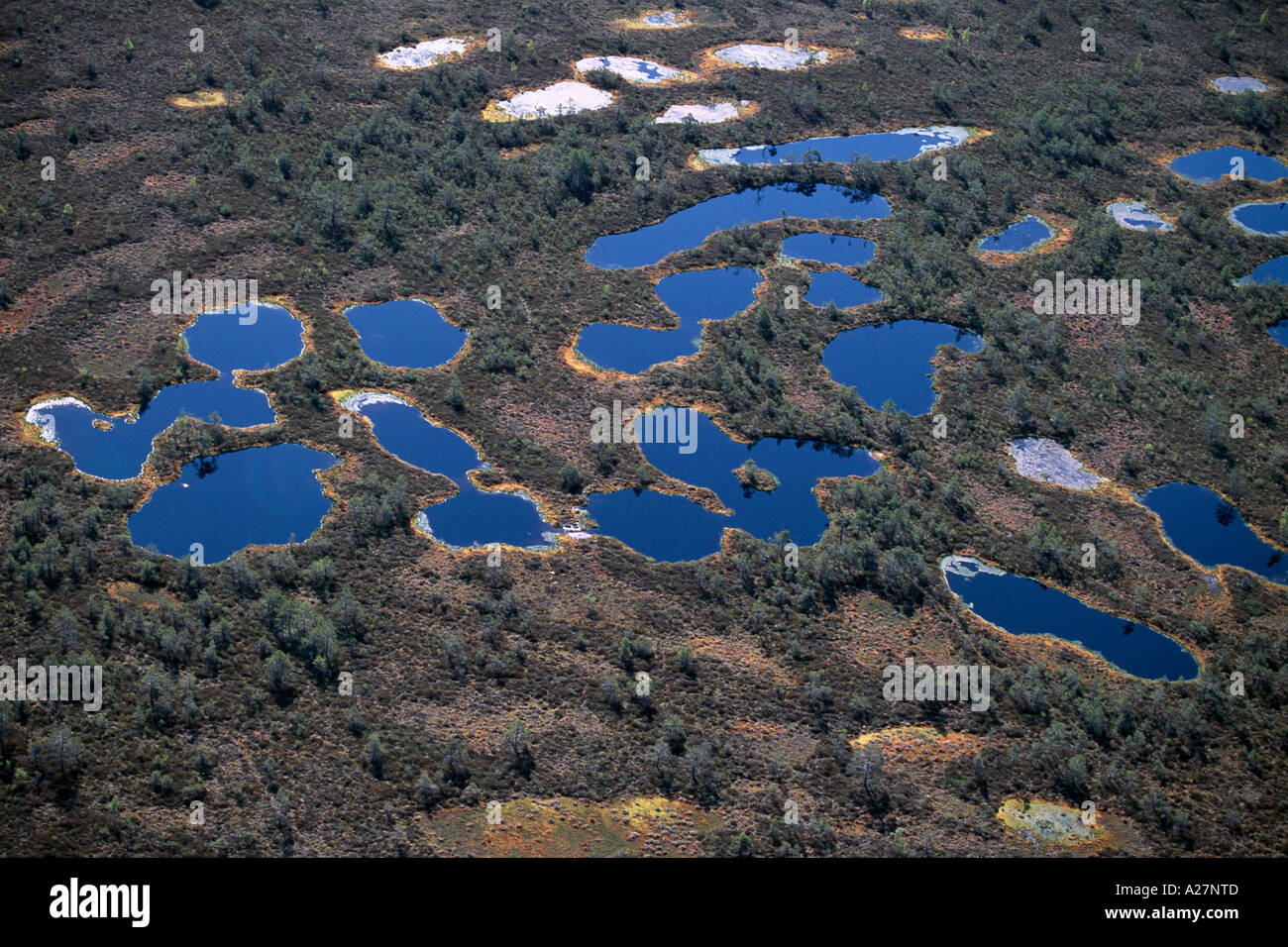AERIAL VIEW OF BOG POOLS Stock Photo - Alamy
