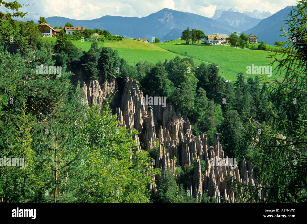 Renon ritten stone travel tourism holiday plateau trees pine hi-res ...