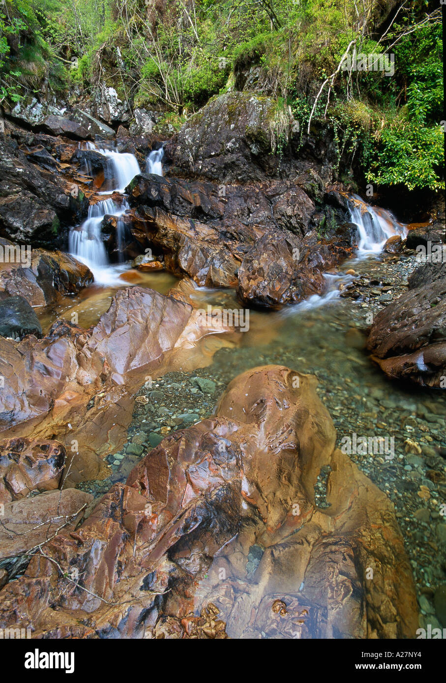 GORGE OF MILTON BURN NEAR CALLANDER SCOTLAND Stock Photo - Alamy
