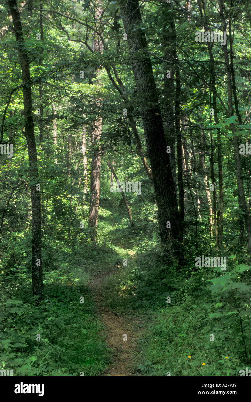 Wilderness road historic kentucky hi-res stock photography and images ...