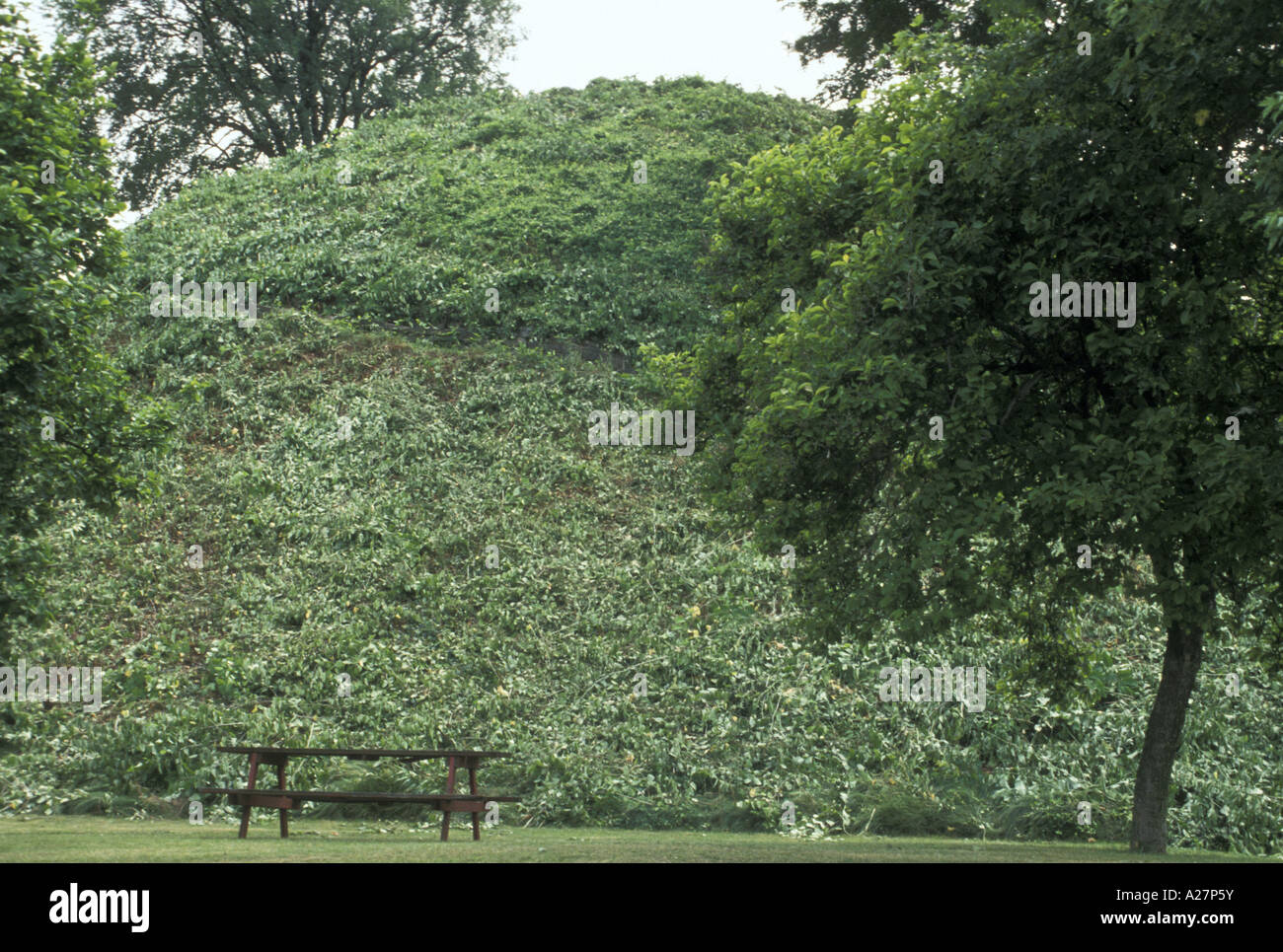 Grave Creek the largest remaining Adena Culture mound located in ...