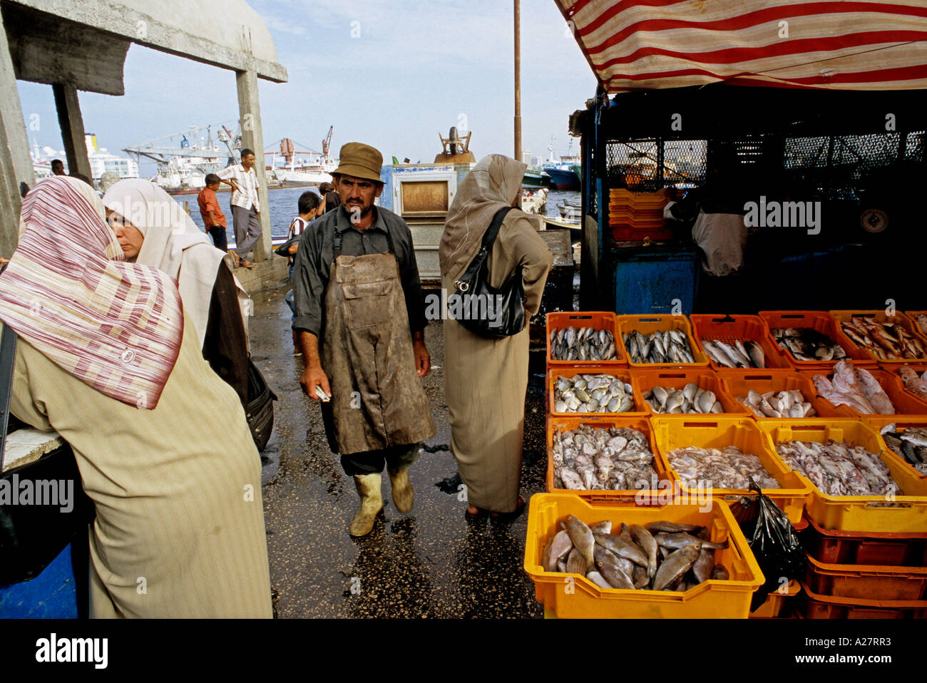 Libya libyan women hi-res stock photography and images - Alamy