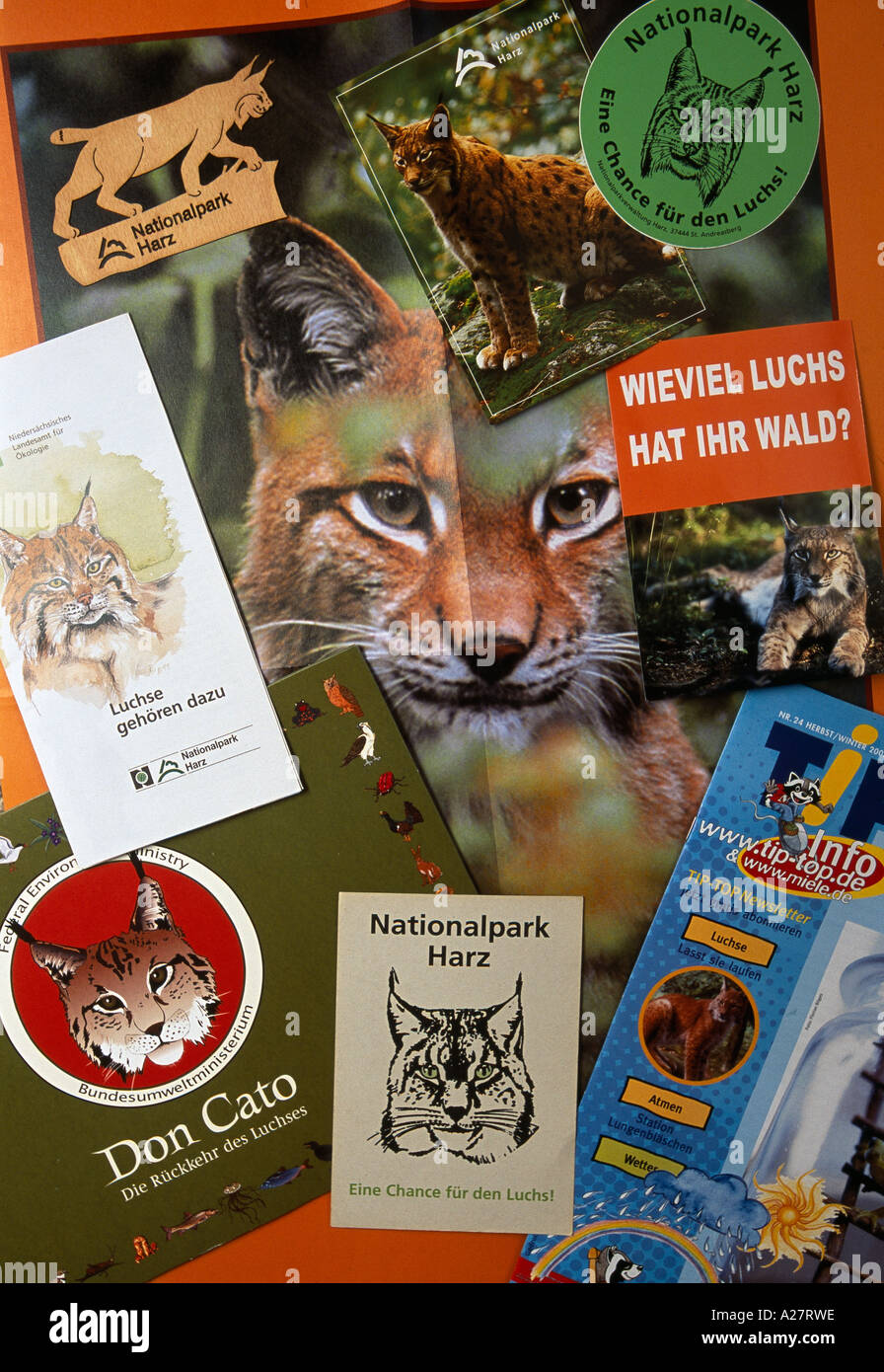 PAPER PRODUCTS FEATURING EUROPEAN LYNX Stock Photo - Alamy