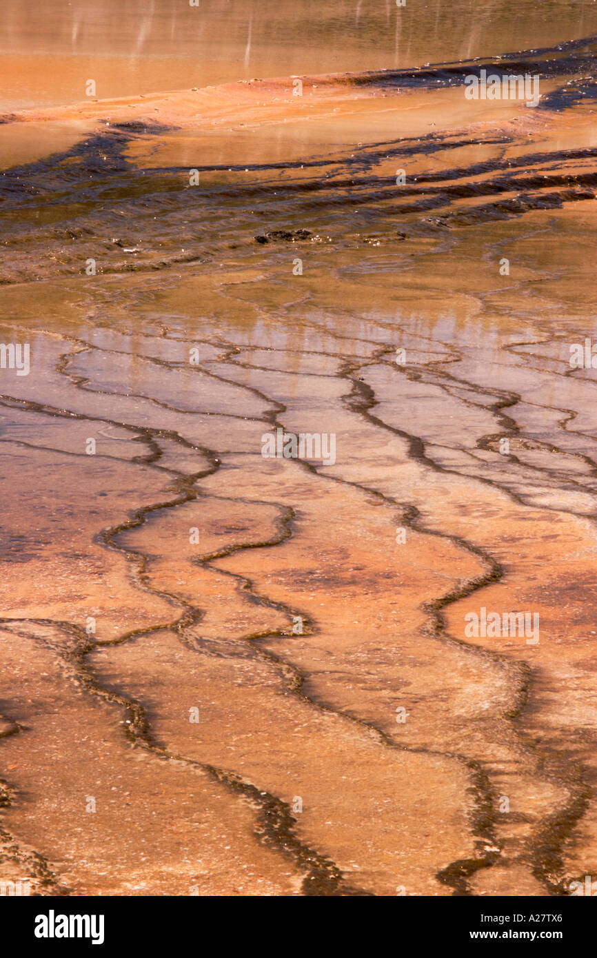 Cyanobacteria and terraced patterns in runoff channel of Grand ...