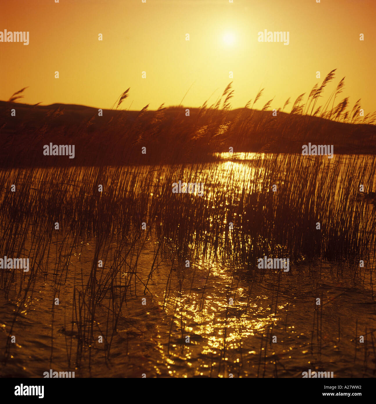 Wafting hi-res stock photography and images - Alamy