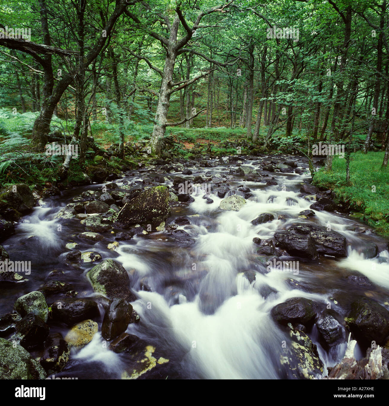 Water stream uk hi-res stock photography and images - Alamy