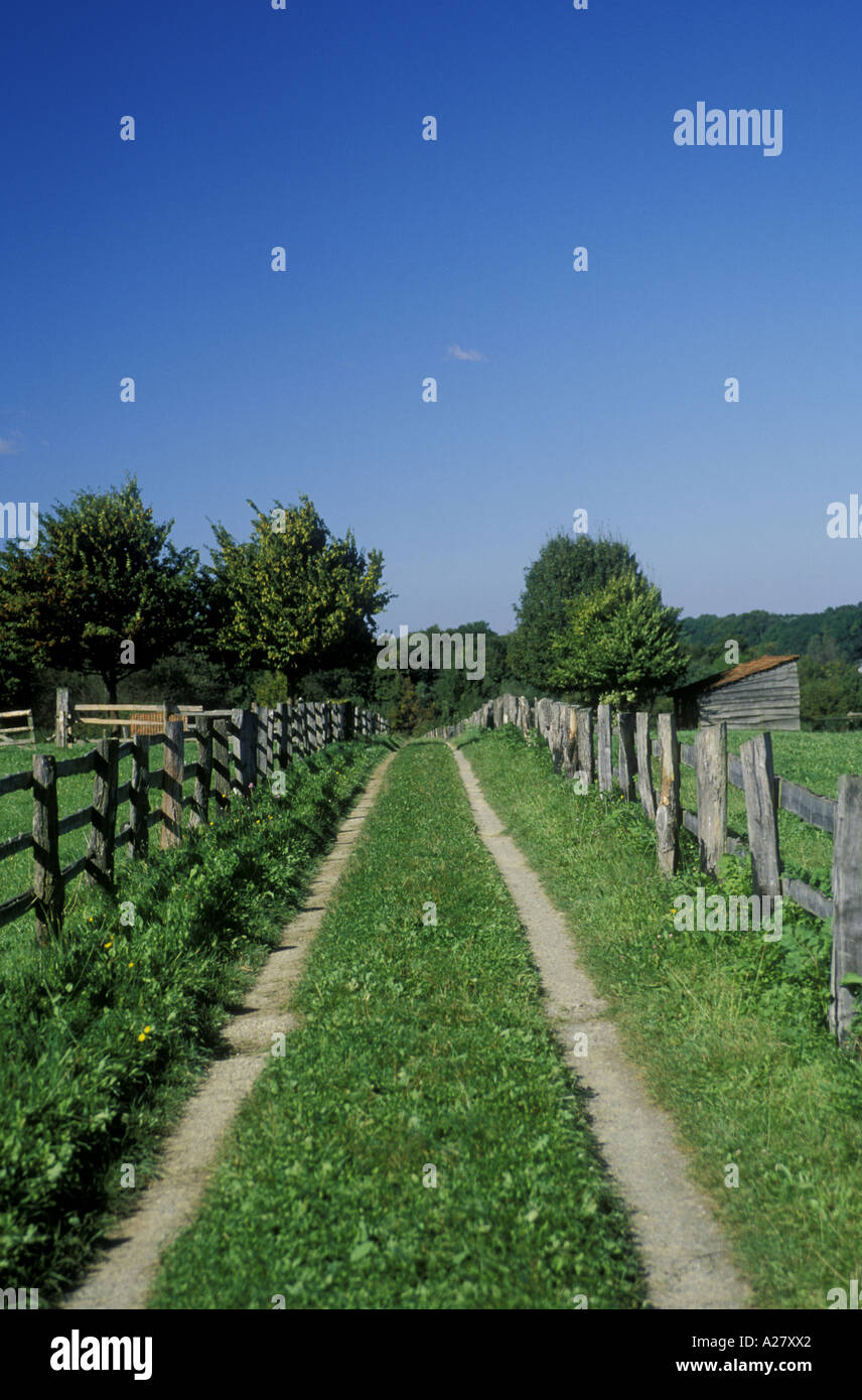 Farm path with wagon tracks Stock Photo - Alamy
