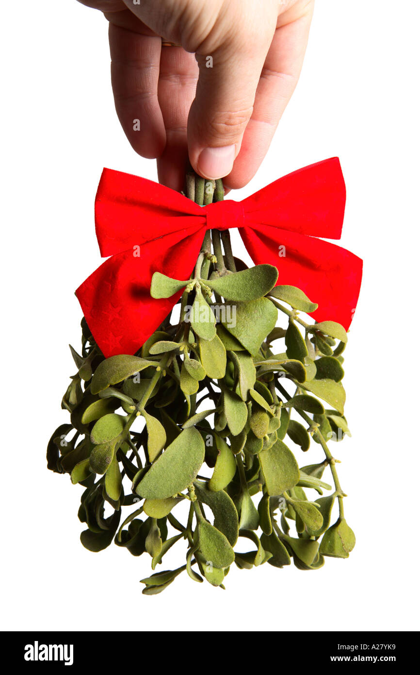Hand Holding Mistletoe Up Stock Photo - Alamy