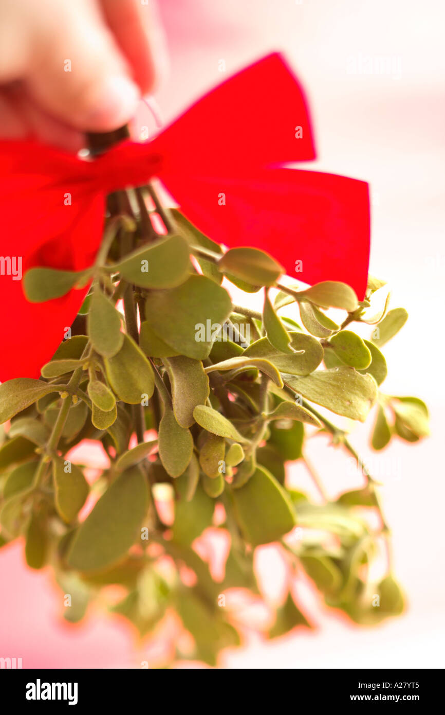 Mistletoe traditional hi-res stock photography and images - Alamy