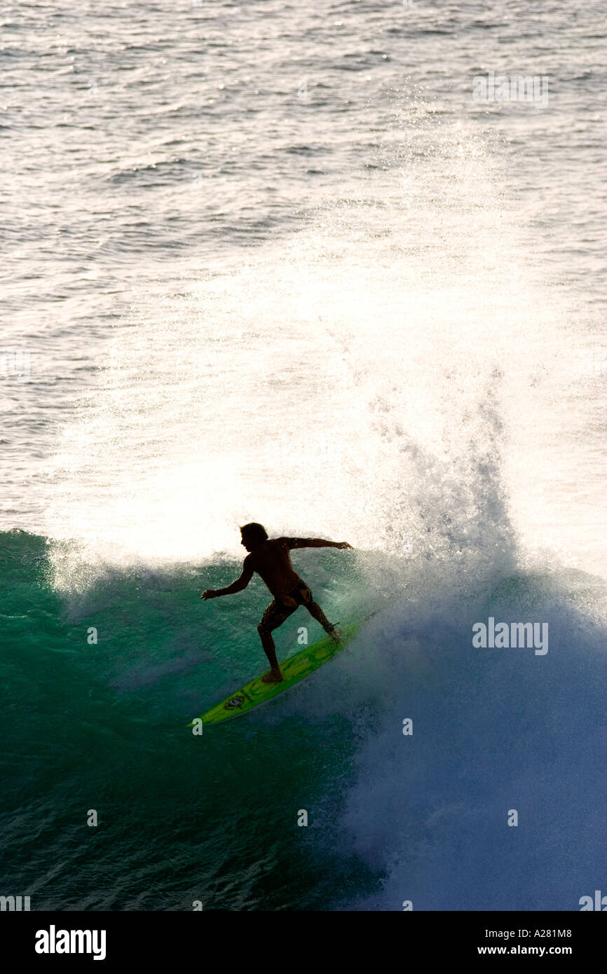 Surfing on waves in the pacific ocean off the island of Maui, Hawaii ...