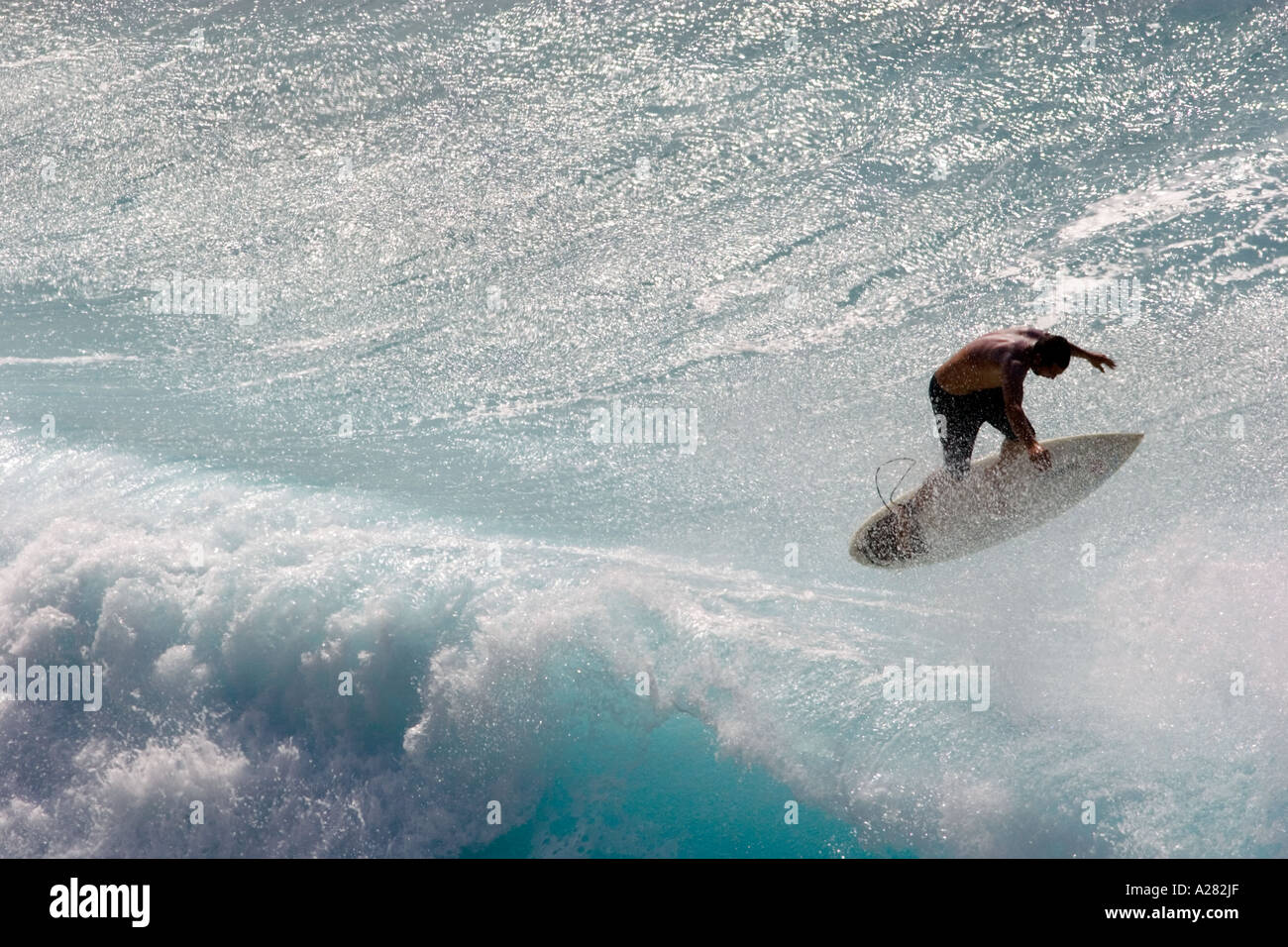 Surfing on waves in the pacific ocean off the island of Maui, Hawaii ...