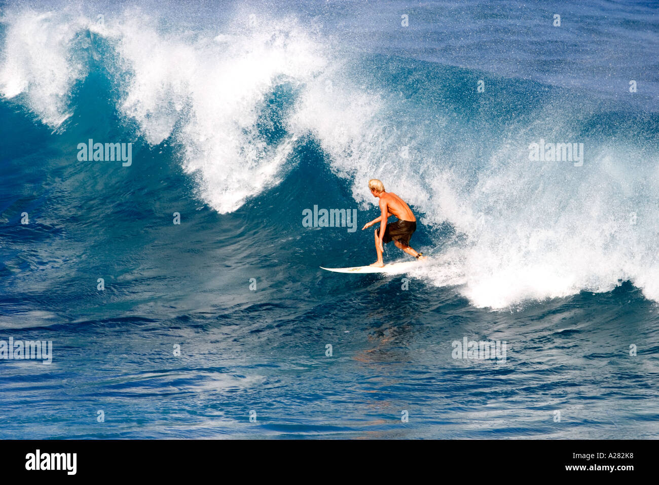 Surfing on waves in the pacific ocean off the island of Maui, Hawaii ...