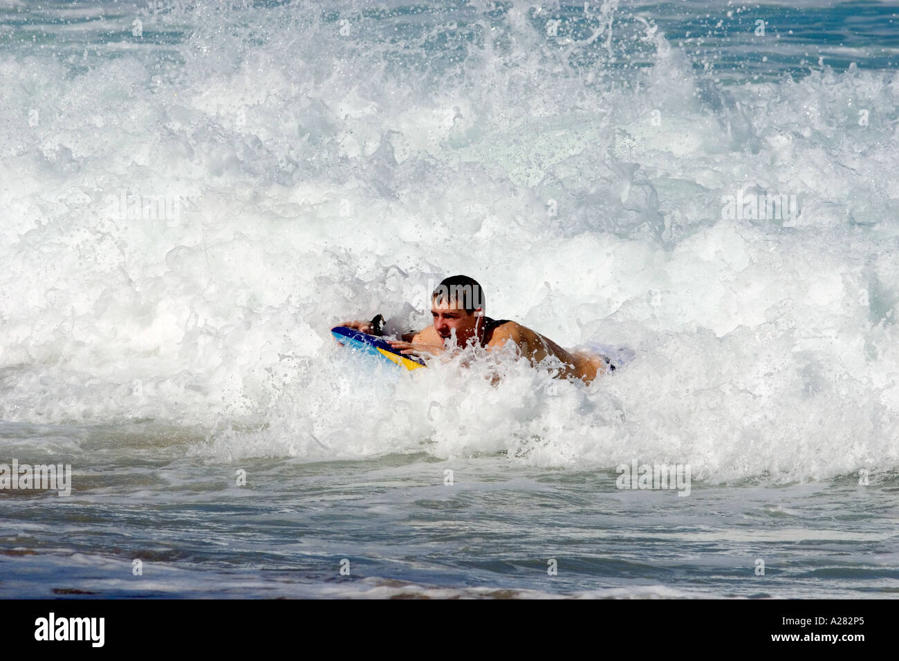 Boogie boarding on waves in the pacific ocean off the island of Maui ...