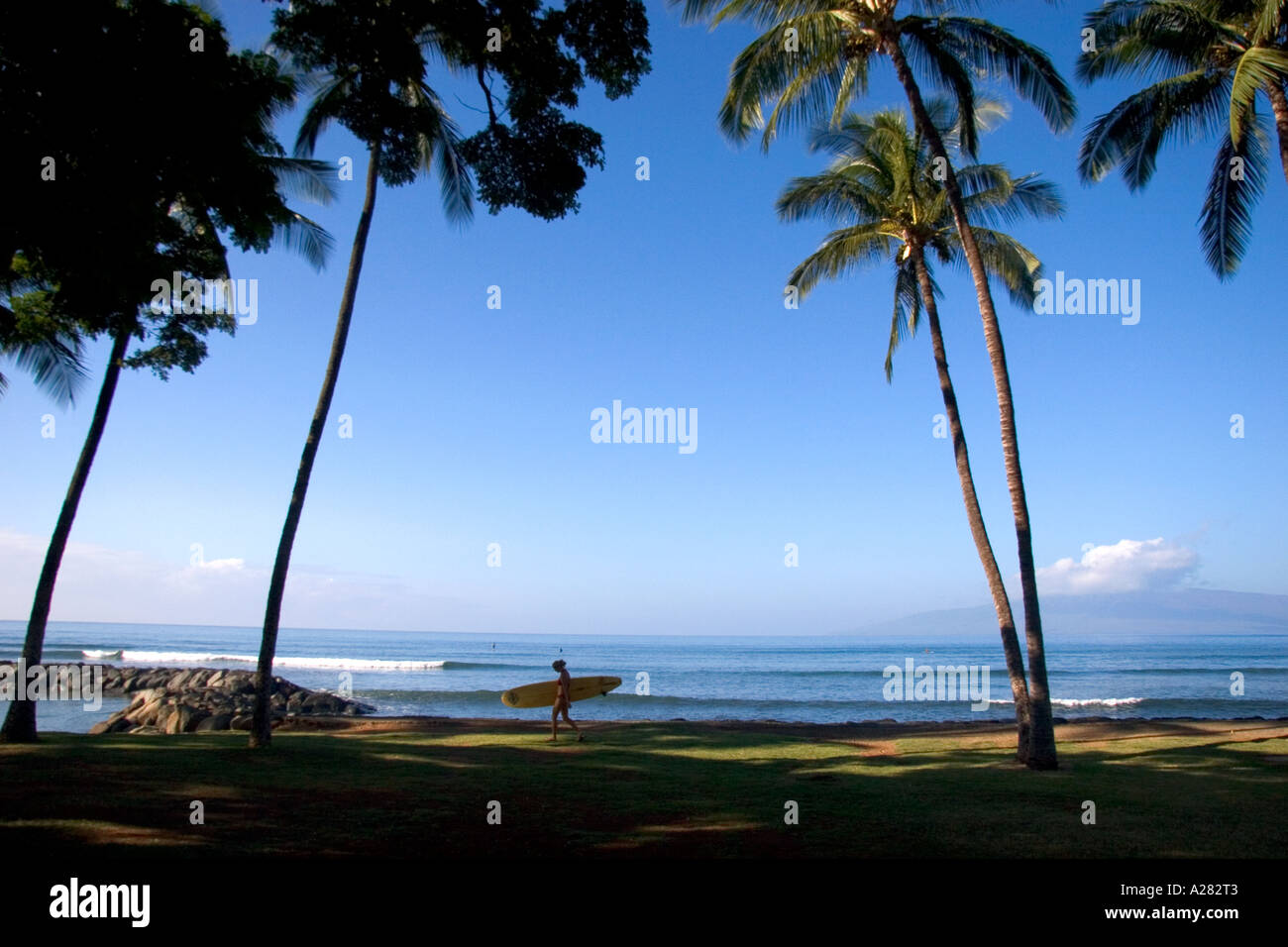Girl walking with surfboard on the island of Maui, Hawaii Stock Photo ...