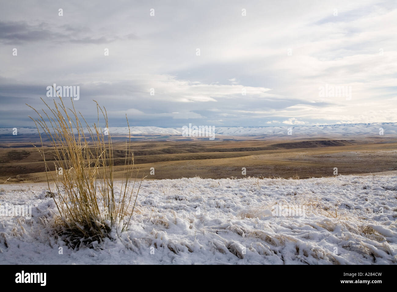 Bush pilot snow hi-res stock photography and images - Alamy