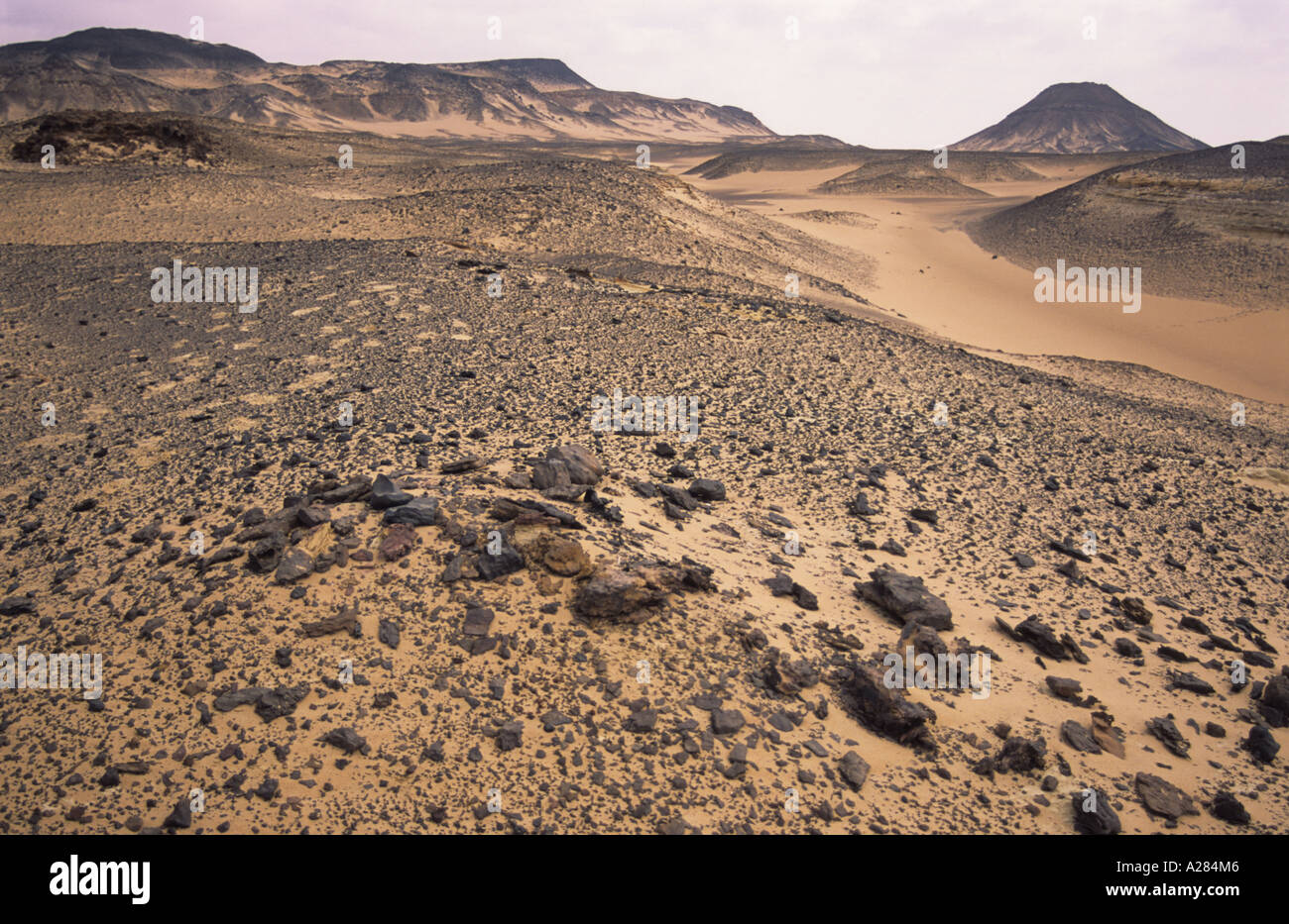 Black desert egypt hi-res stock photography and images - Alamy