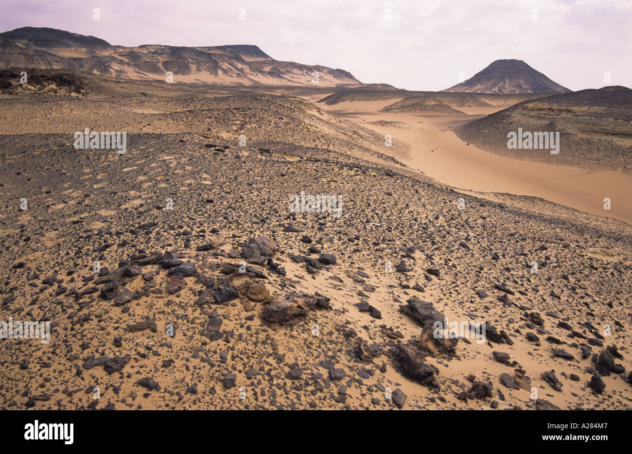Black desert egypt hi-res stock photography and images - Alamy