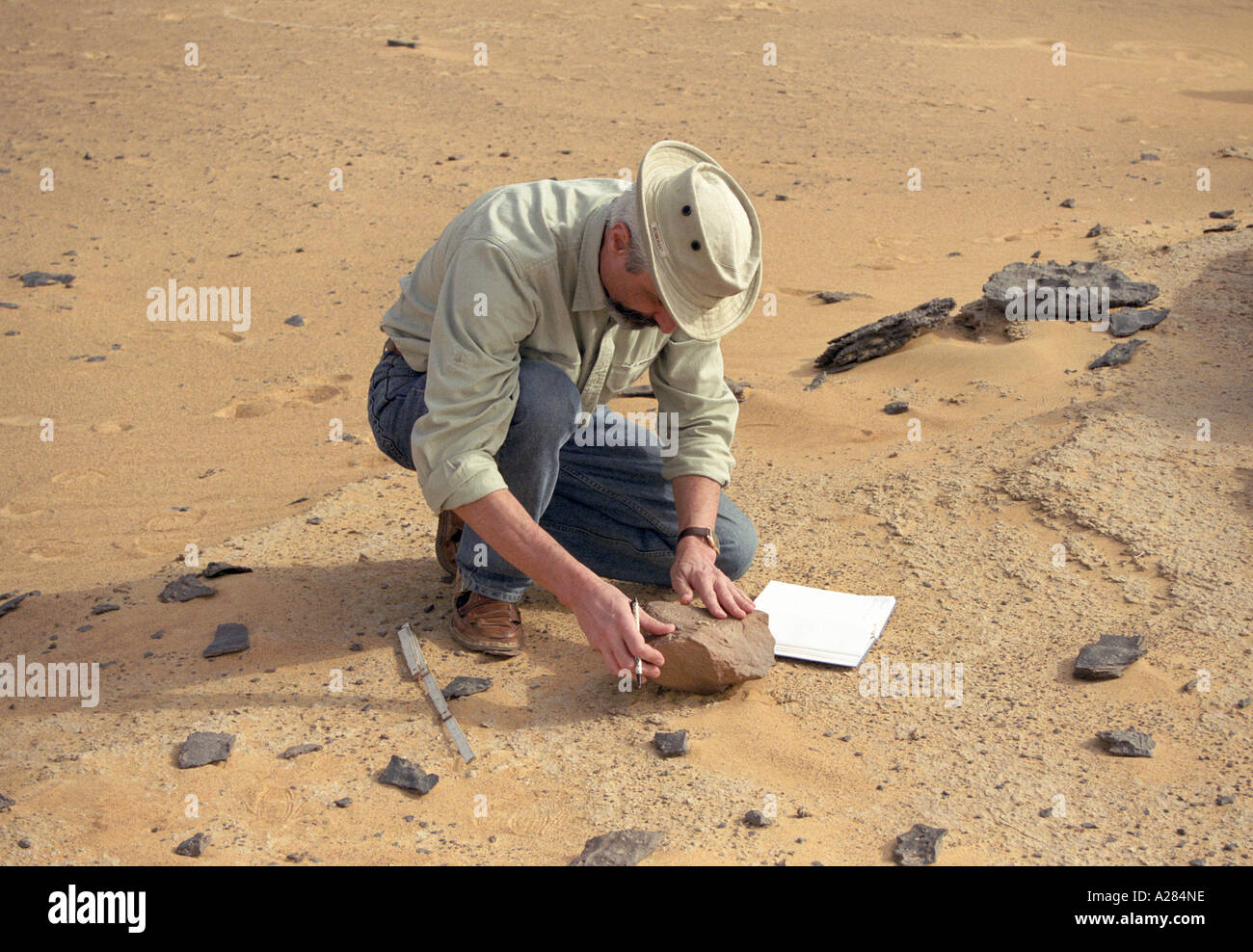 Archaeologist egypt hi-res stock photography and images - Alamy