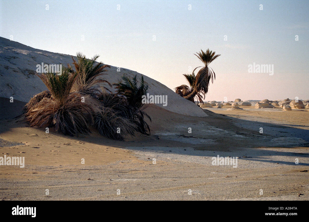 Black Desert Egypt Stock Photo - Alamy