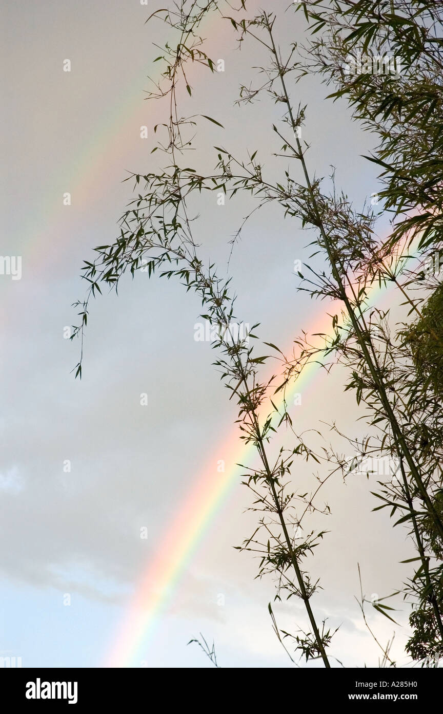 Rainbow behind delicate arch hi-res stock photography and images - Alamy