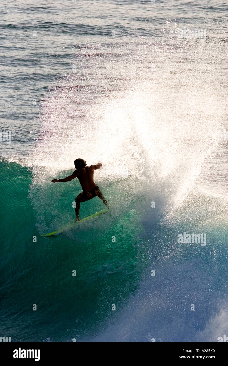 Surfing on waves in the pacific ocean off the island of Maui, Hawaii ...