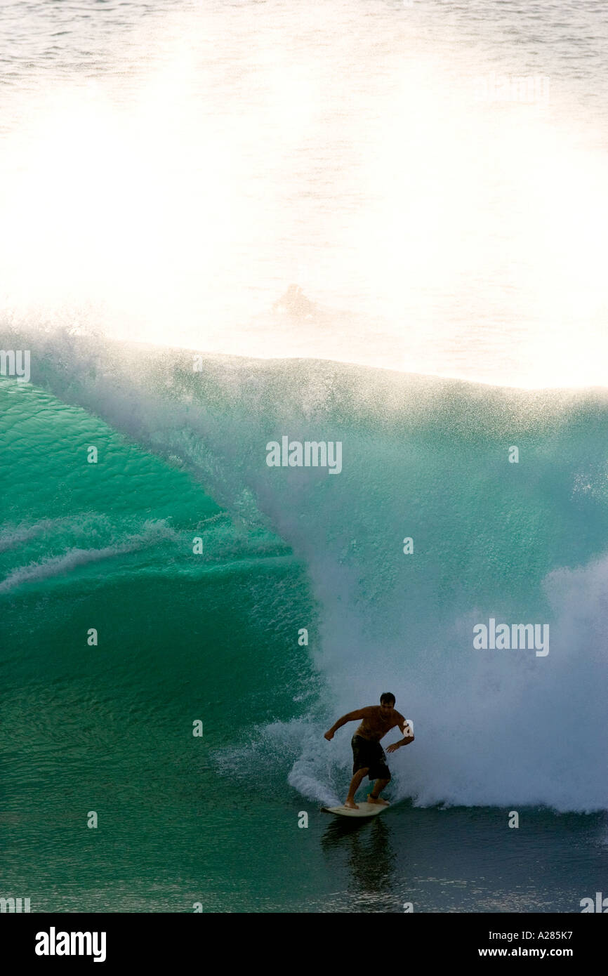 Surfing on waves in the pacific ocean off the island of Maui, Hawaii ...