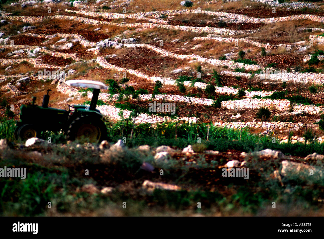 West Bank Israel Tractor & Stone Walls Agriculture Stock Photo - Alamy