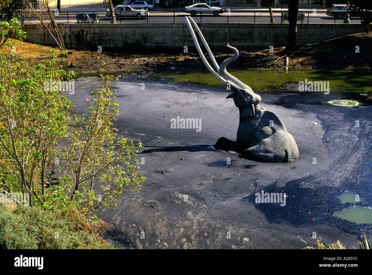 Models of a Mammoth at the La Brea Tar Pits in Los Angeles, California ...