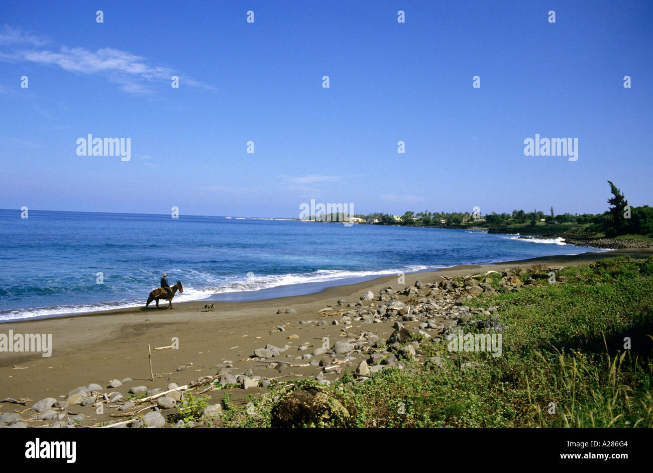A man rides a mule on the beach at Kalaupapa peninsula on Molokai ...