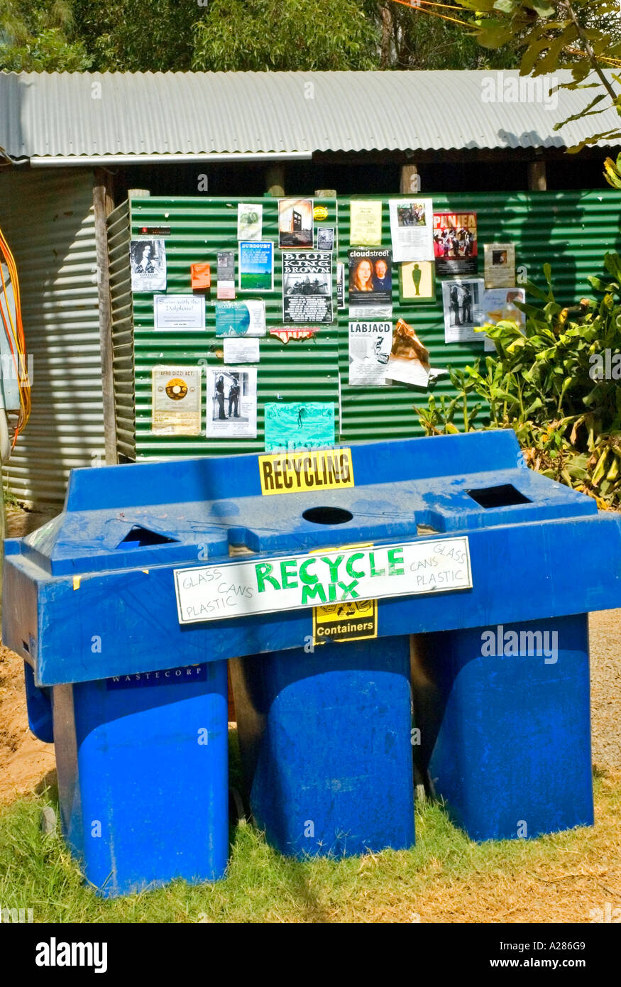 Recycling bins, and public toilet covered with advertising flyers ...