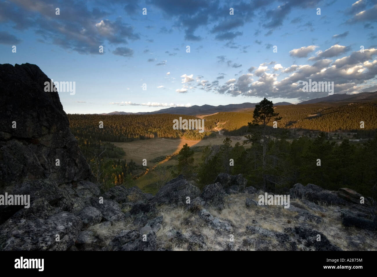 White cloud buffalo hi-res stock photography and images - Alamy
