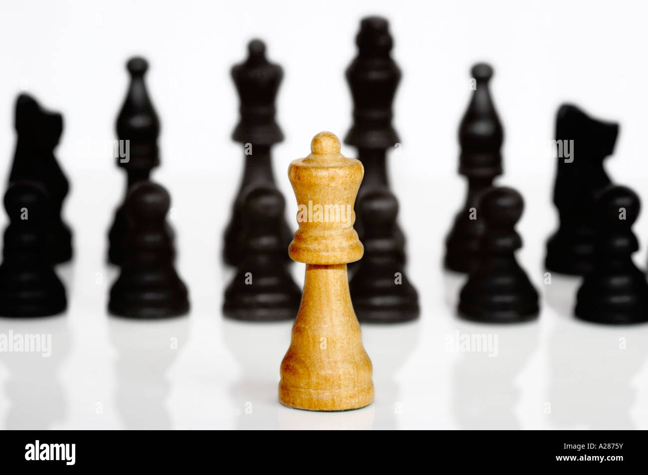 Single white chess piece standing alone in front of two rows of black ...