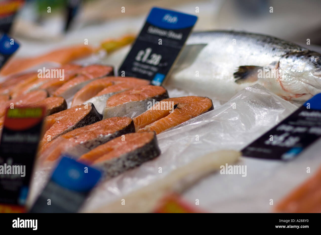 Whole salmon fish shop display hi-res stock photography and images - Alamy