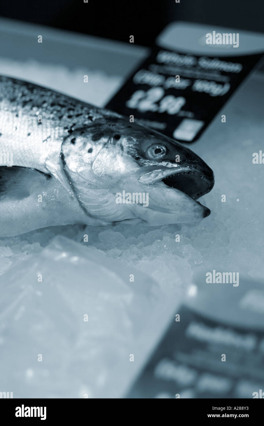 Fresh fish on ice in a supermarket Stock Photo - Alamy