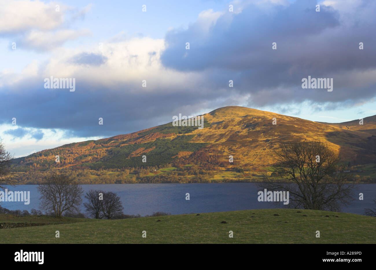 Loch tay shore hi-res stock photography and images - Alamy
