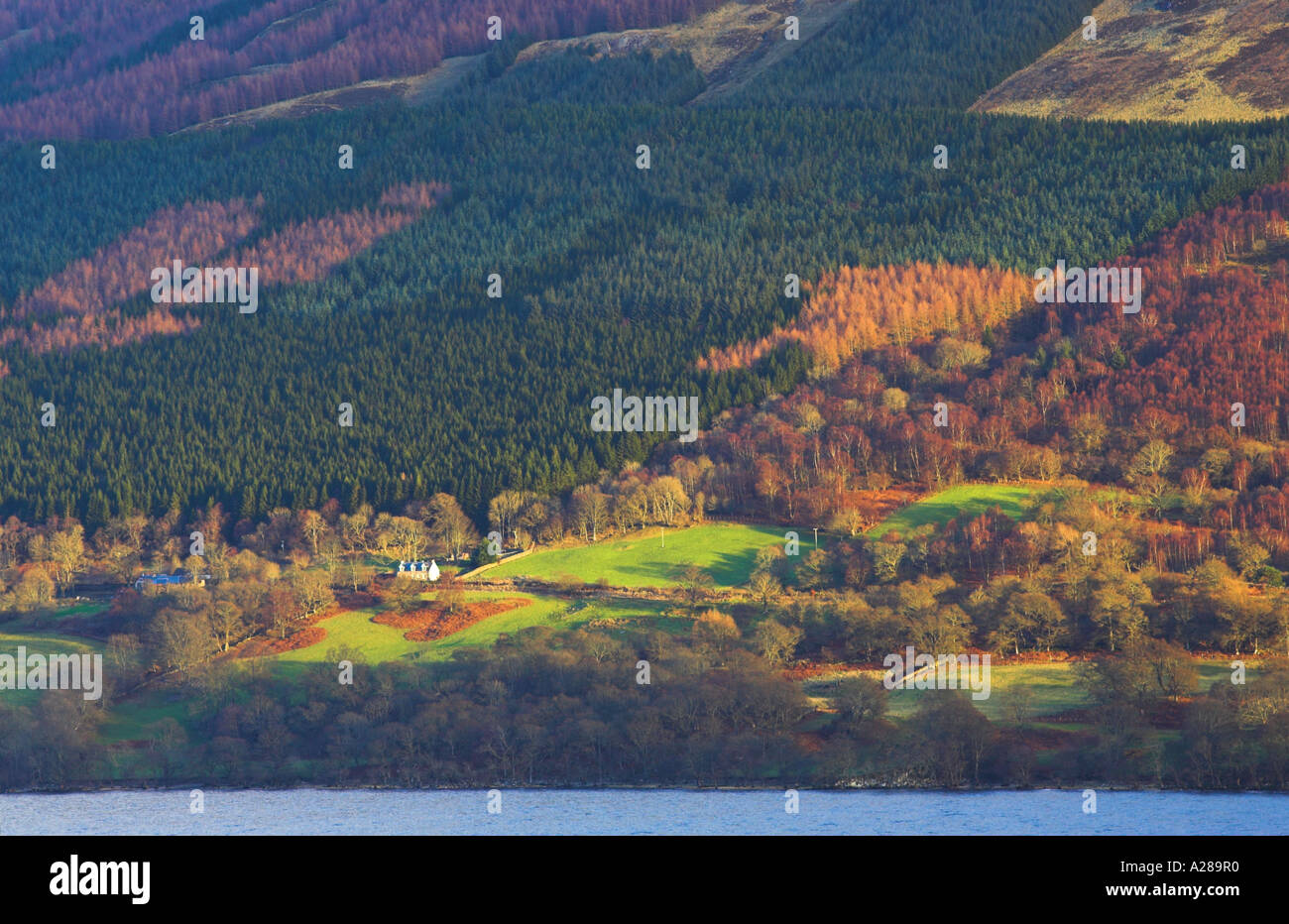 Loch Tay Sunset High Resolution Stock Photography and Images - Alamy